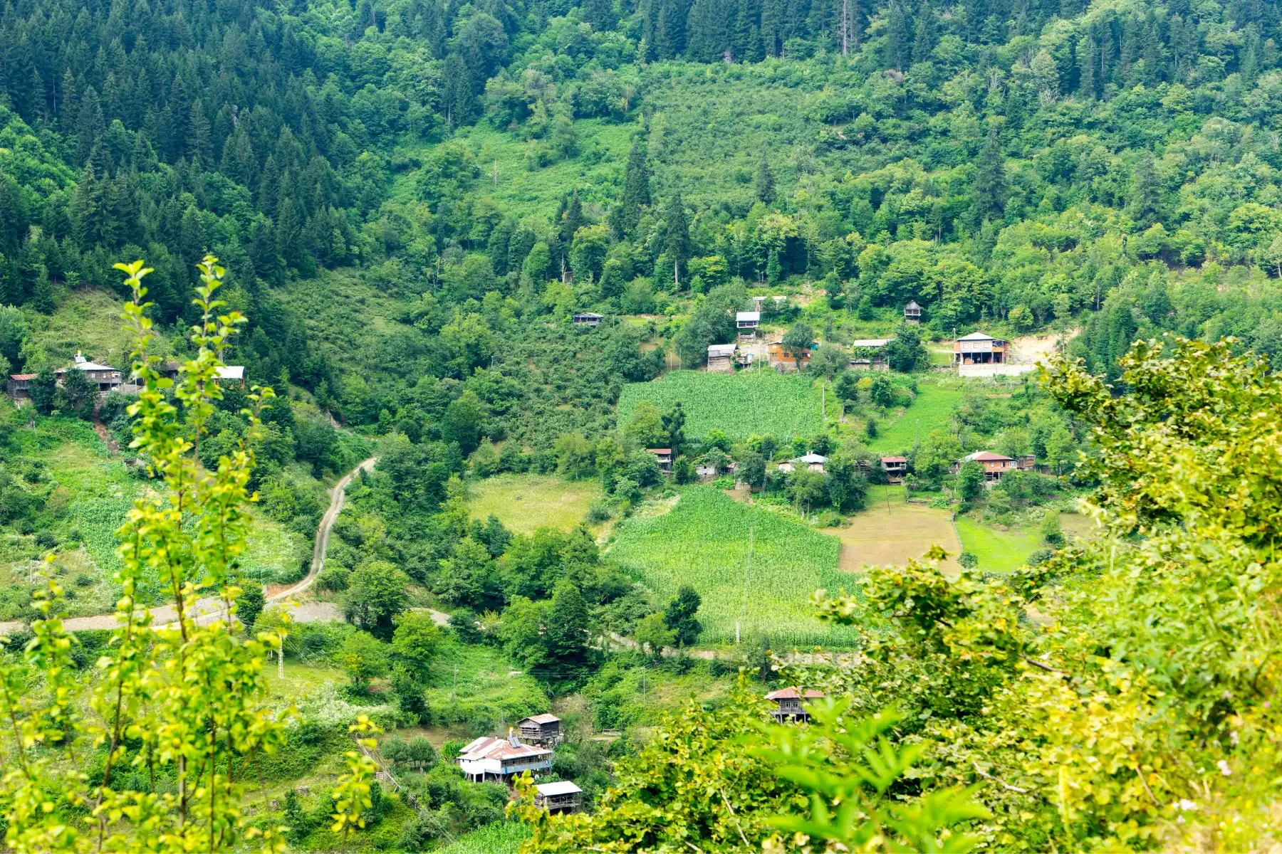 Artvin Yaylaları & Macahel Turu - MagidosTur